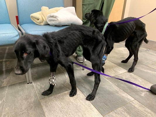 THE POINT AT PINTAIL - 14 Reviews - 511 Pintail Pt Farm Ln, Queenstown ...