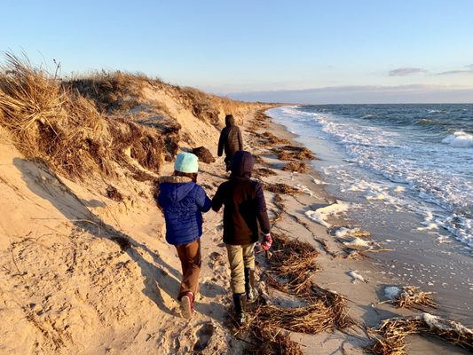 HARDING’S BEACH - Updated June 2025 - 63 Photos & 15 Reviews - Chatham ...