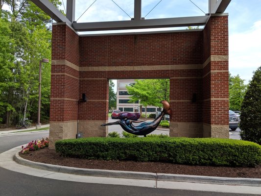 VIRGINIA EYE CONSULTANTS - 32 Photos & 16 Reviews - 241 Corporate Blvd ...