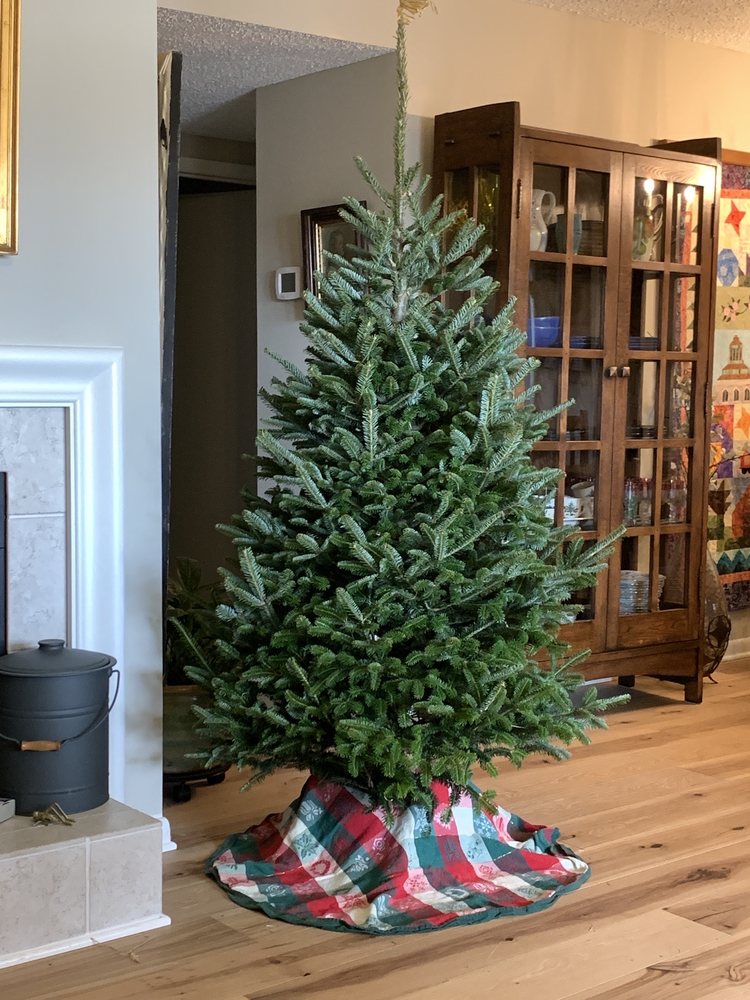 FIRST STEP FARM - Updated November 2025 - 24 Photos - 701 Smokey Park ...