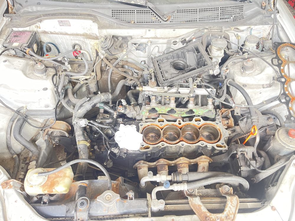 JDM PERFORMERS - Updated April 2024 - Request a Quote - 33 Photos ...