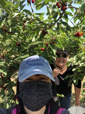 FREITAS CHERRY RANCH - Updated May 2024 - 39 Photos & 47 Reviews - 555 ...