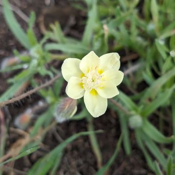 SHELL RIDGE OPEN SPACE - Updated October 2025 - 61 Reviews & 424 Photos ...