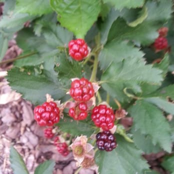 JIM SCOTT COMMUNITY CENTER - Updated January 2026 - 20 Photos - 3001 ...