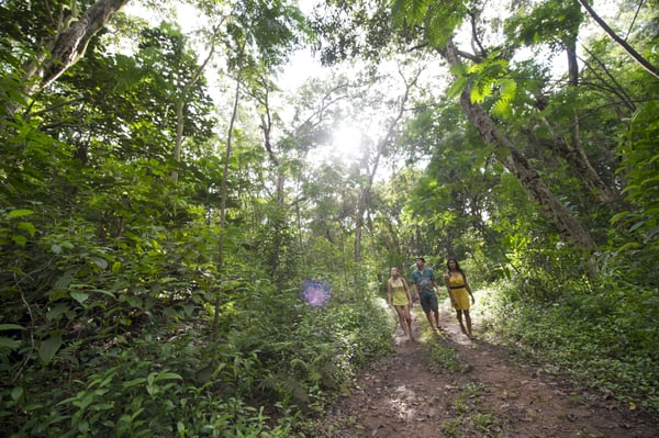 HAWAII PACIFIC UNIVERSITY - HAWAII LOA CAMPUS - Updated October 2025 ...