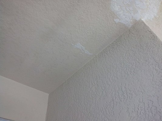 FAST PATCH DRYWALL 【730 Photos】 5455 Ashland Dr, Spring Hill, Florida ...