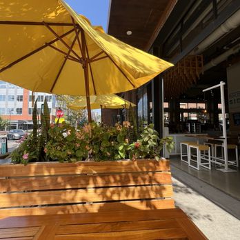 REBOL - Updated April 2025 - 349 Photos & 329 Reviews - 6608 Longshore ...