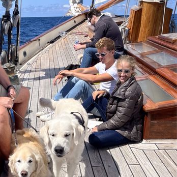 NEXT LEVEL SAILING - Updated June 2025 - 271 Photos & 274 Reviews ...