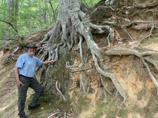 GILBERT RUN RECREATIONAL PARK - Updated June 2025 - 29 Photos - 13140 ...