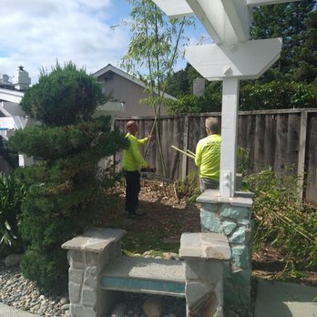NOR-CAL TREE & STUMP SERVICE - Updated October 2025 - 10 Photos & 11 ...