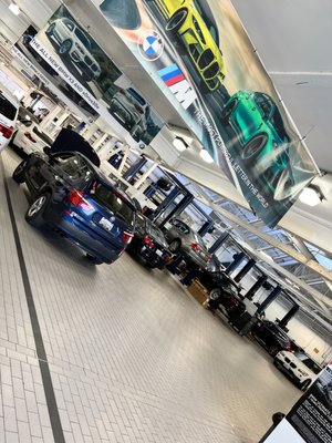 SANTA MONICA BMW - Updated October 2025 - 104 Photos & 1238 Reviews ...