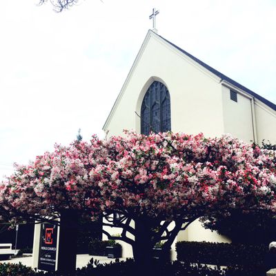 MENLO CHURCH - MENLO PARK - Updated December 2025 - 36 Photos & 58 ...