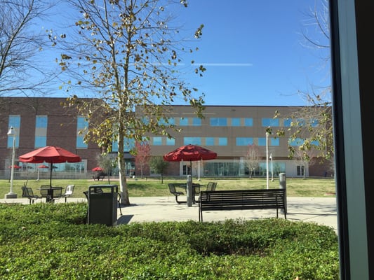 FORT BEND COUNTY LIBRARIES - UNIVERSITY BRANCH - Updated December 2025 ...