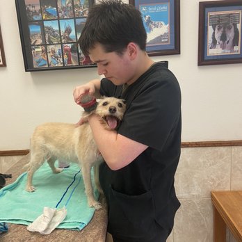 MERCY ANIMAL CLINIC - Updated August 2025 - 27 Photos & 42 Reviews ...