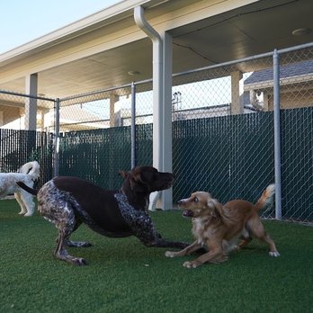 WHAT’S UP DOG HTX - Updated December 2025 - 10 Reviews - 2071 Antoine ...