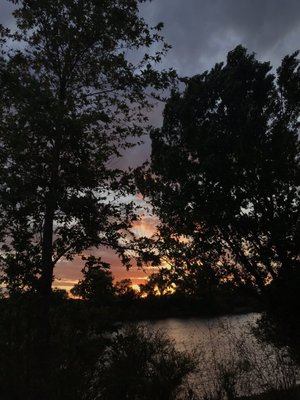 MILLER REGIONAL PARK - Updated May 2024 - 142 Photos & 15 Reviews ...