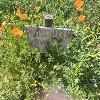 ZINC HOUSE FARM - Updated December 2025 - 36 Photos & 26 Reviews ...