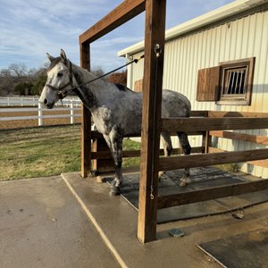 FORTEBELLA EQUESTRIAN - Updated October 2025 - 10622 Wild Flower Pl ...