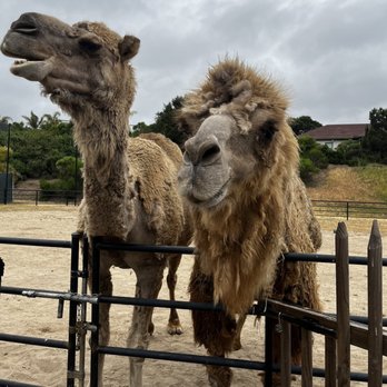 VISION QUEST RANCH - Updated July 2024 - 817 Photos & 306 Reviews - 400 ...