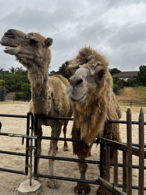 VISION QUEST RANCH - Updated November 2025 - 827 Photos & 320 Reviews ...