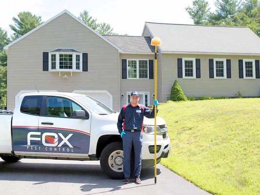 Fox Pest Control Buffalo