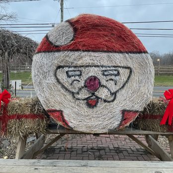 SILVERMAN’S FARM - Updated December 2025 - 238 Photos & 144 Reviews ...