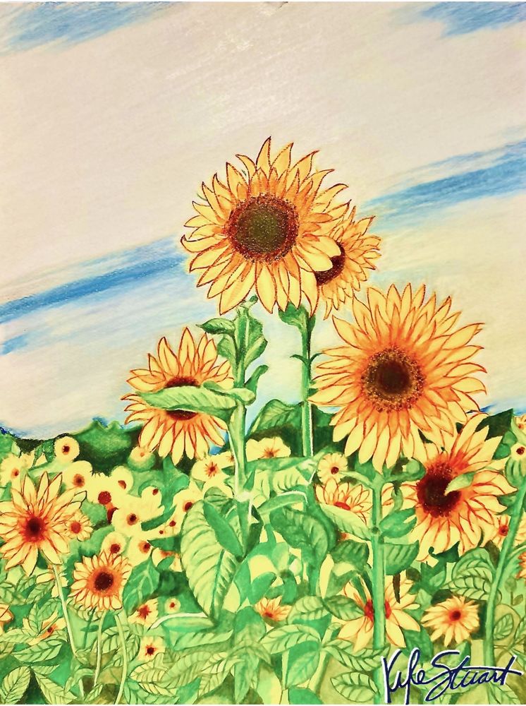 KYLE STUART - Updated May 2024 - 21 Photos - 136 S Washington Ave ...