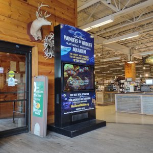 BASS PRO SHOPS - Updated January 2026 - 10 Photos & 18 Reviews - 3600 S Lindbergh Blvd, St ...