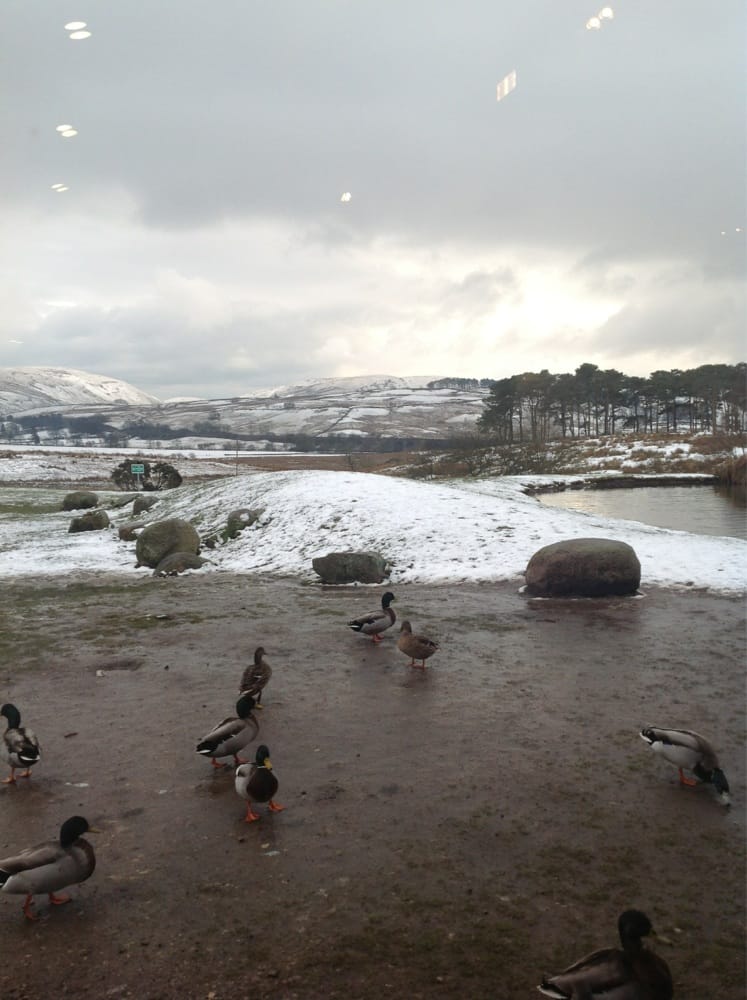 TEBAY MOTORWAY SERVICES - 54 Photos & 35 Reviews - Westmorland Place ...