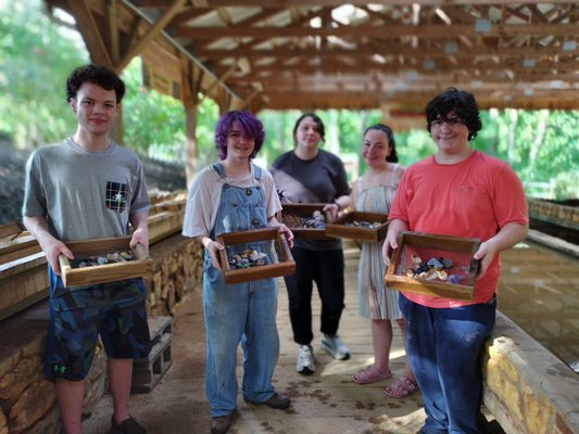 CRISSON GOLD MINE - Updated October 2025 - 78 Photos & 59 Reviews ...