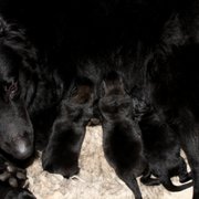 DR. BUTCHKO - 21 Photos & 38 Reviews - 5448 Mission Blvd, Riverside, CA ...