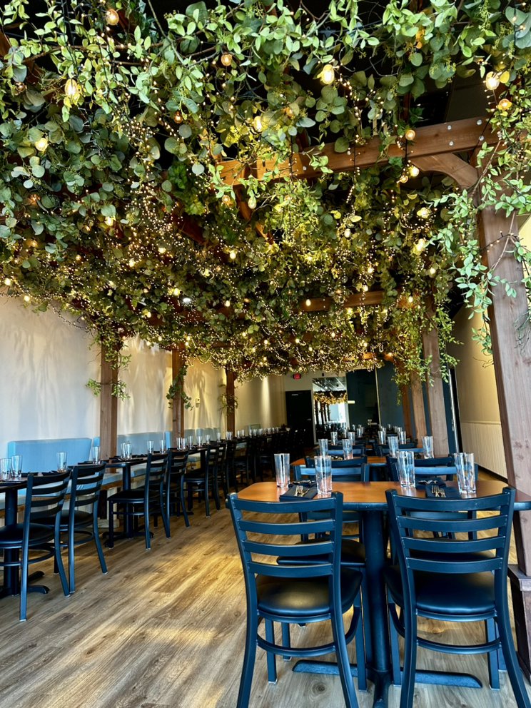 ROTI INDIAN KITCHEN - Updated February 2025 - 53 Photos & 26 Reviews ...