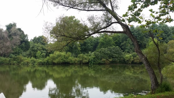 CAMP HIGHROAD - Updated August 2025 - 21164 Steptoe Hill Rd, Middleburg ...