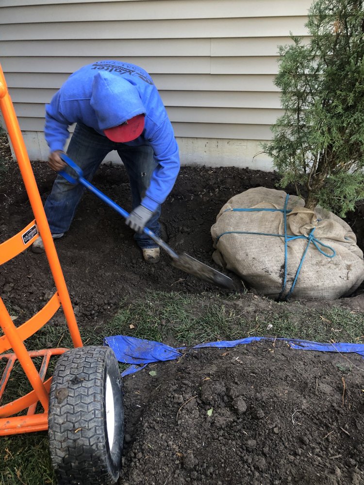 WALTER LANDSCAPING - Updated March 2025 - 19 Photos - 703 E 3rd St, O ...