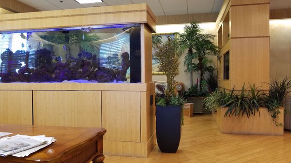 TEMECULA VALLEY ADVANCED IMAGING - Updated August 2024 - 40 Photos & 66 ...