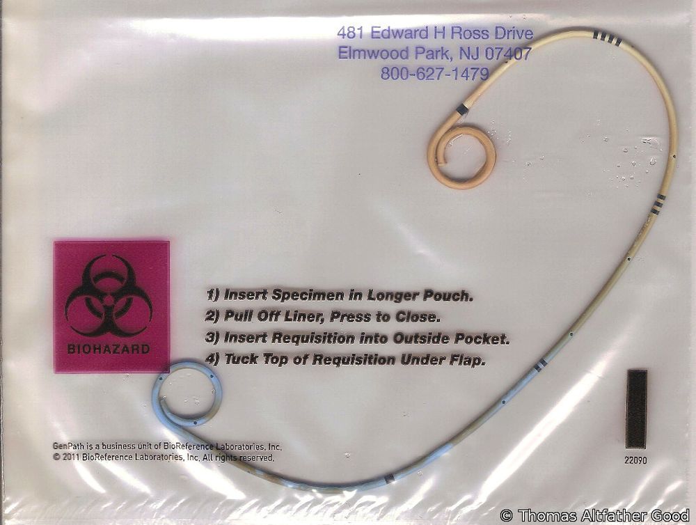 RICHARD MAGGIO, MD - Updated October 2025 - 2071 Clove Rd, Staten ...