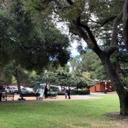 SHOUP PARK - 98 Photos & 63 Reviews - 400 University Ave, Los Altos ...