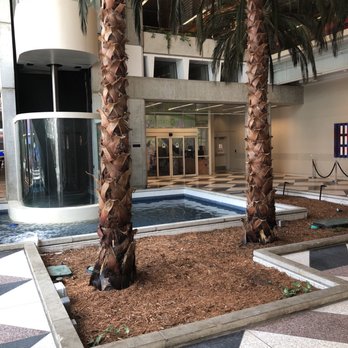 BROWARD COUNTY LIBRARIES - MAIN LIBRARY - Updated November 2025 - 76 ...