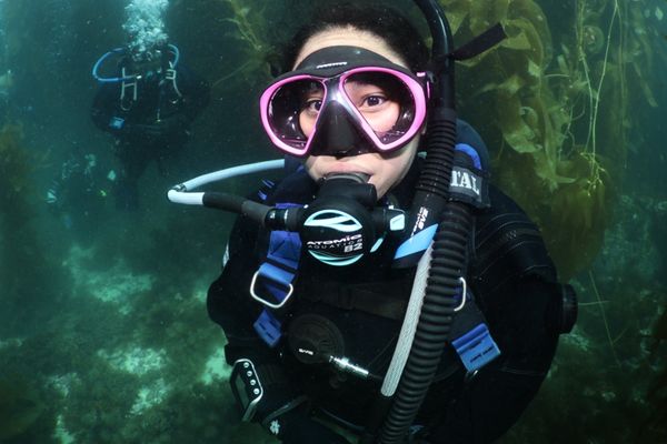 PACIFIC STAR DIVE BOAT - Updated January 2026 - 41 Photos & 46 Reviews ...