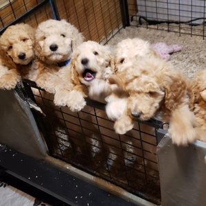 IRON ROOTS SALON - Updated December 2025 - 30 Photos & 12 Reviews ...