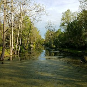 BUSHKILL PARK - Updated November 2025 - 17 Photos - 2100 Bushkill Park ...