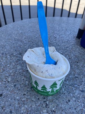 SHIVERS FROZEN CUSTARD & COFFEE - Updated March 2025 - 84 Photos & 101 ...
