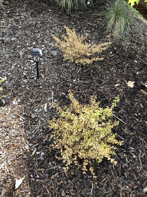 ANDY’S SPRINKLER, DRAINAGE & LIGHTING - Updated October 2025 - 31 ...