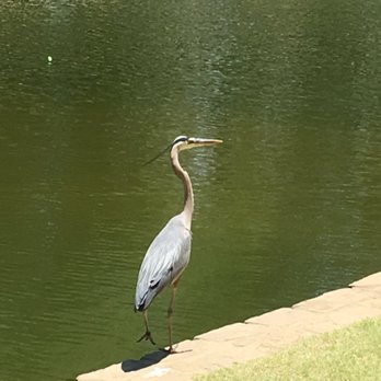 GUSSIE FIELD WATTERWORTH PARK - Updated December 2025 - 22 Photos ...