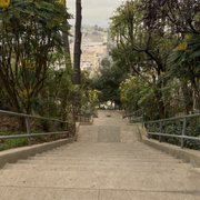 INA COOLBRITH PARK - 330 Photos & 85 Reviews - Taylor & Vallejo Streets ...