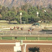 CLOCKER’S CORNER - 67 Photos & 40 Reviews - 285 W Huntington Dr ...