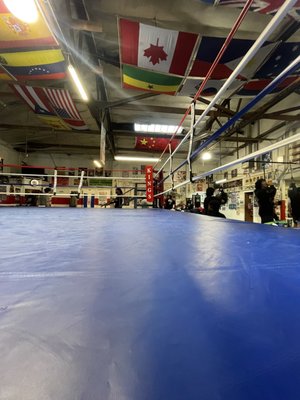 KING’S BOXING GYM - Updated January 2026 - 23 Photos & 39 Reviews - 843 ...