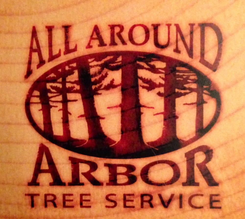 ALL AROUND ARBOR TREE SERVICE - Updated December 2025 - 73 Photos & 187 ...