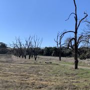 SYCAMORE GROVE PARK - 294 Photos & 74 Reviews - Parks - 1224 Wetmore Rd ...