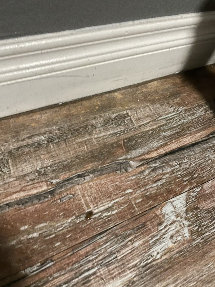 HOLLYWOOD STARS INN - Updated July 2025 - 51 Photos & 38 Reviews - 5435 ...